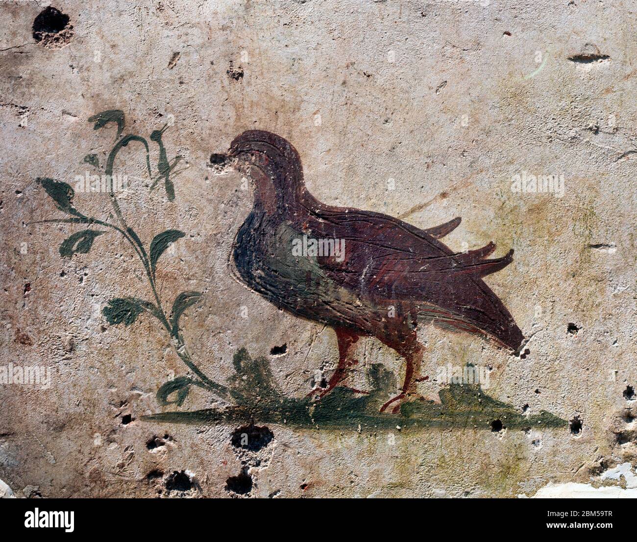 Wall Mural Bird Art High Resolution Stock Photography and Images - Alamy