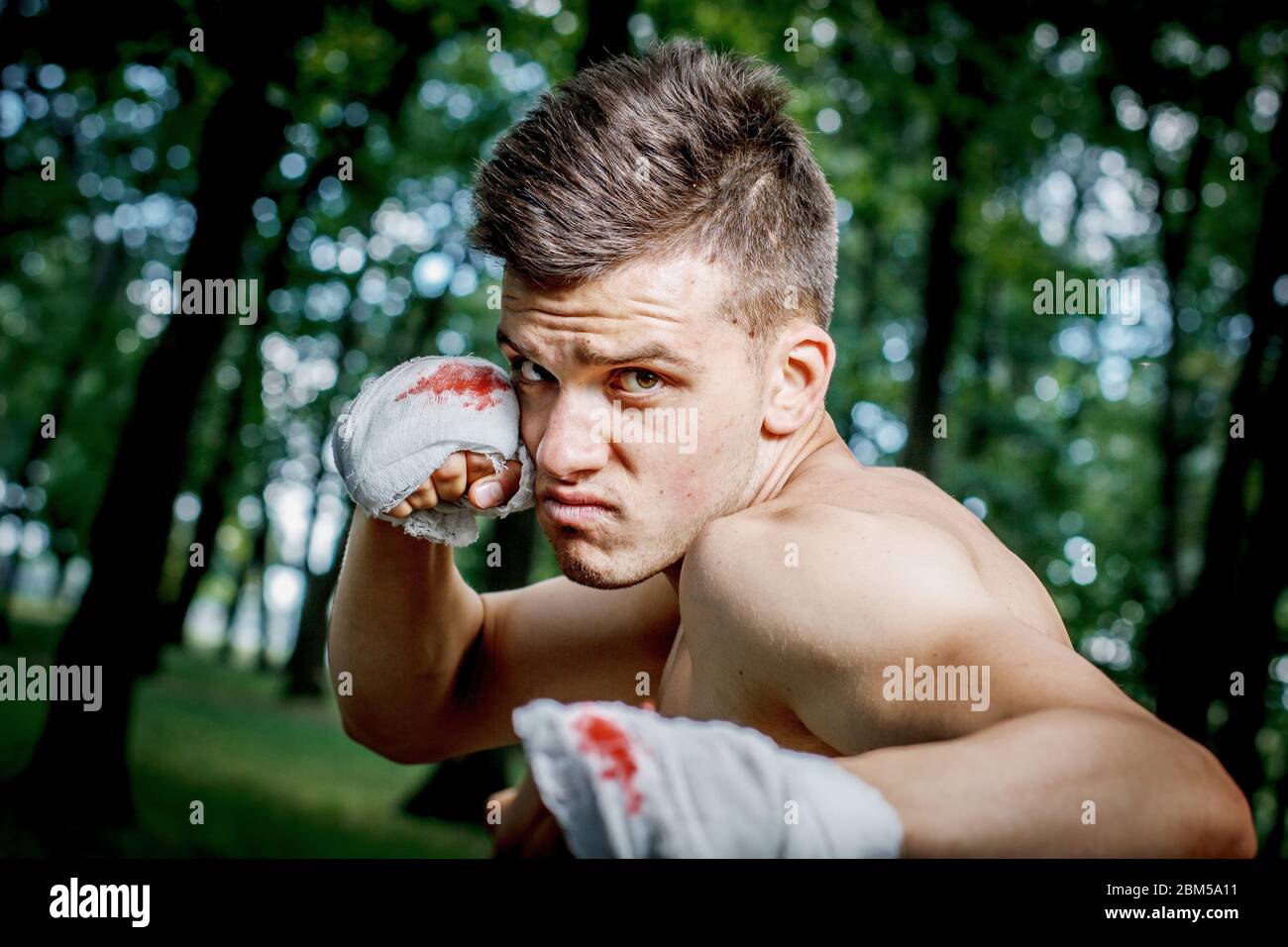 aggressive boxer diligently trains hands in blood Stock Photo - Alamy