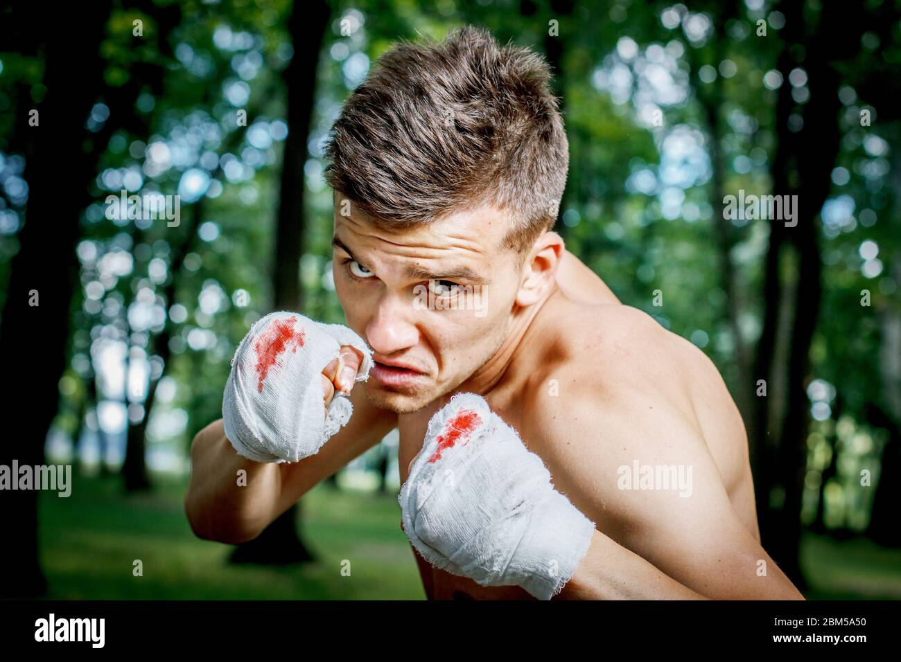 aggressive boxer diligently trains hands in blood Stock Photo - Alamy