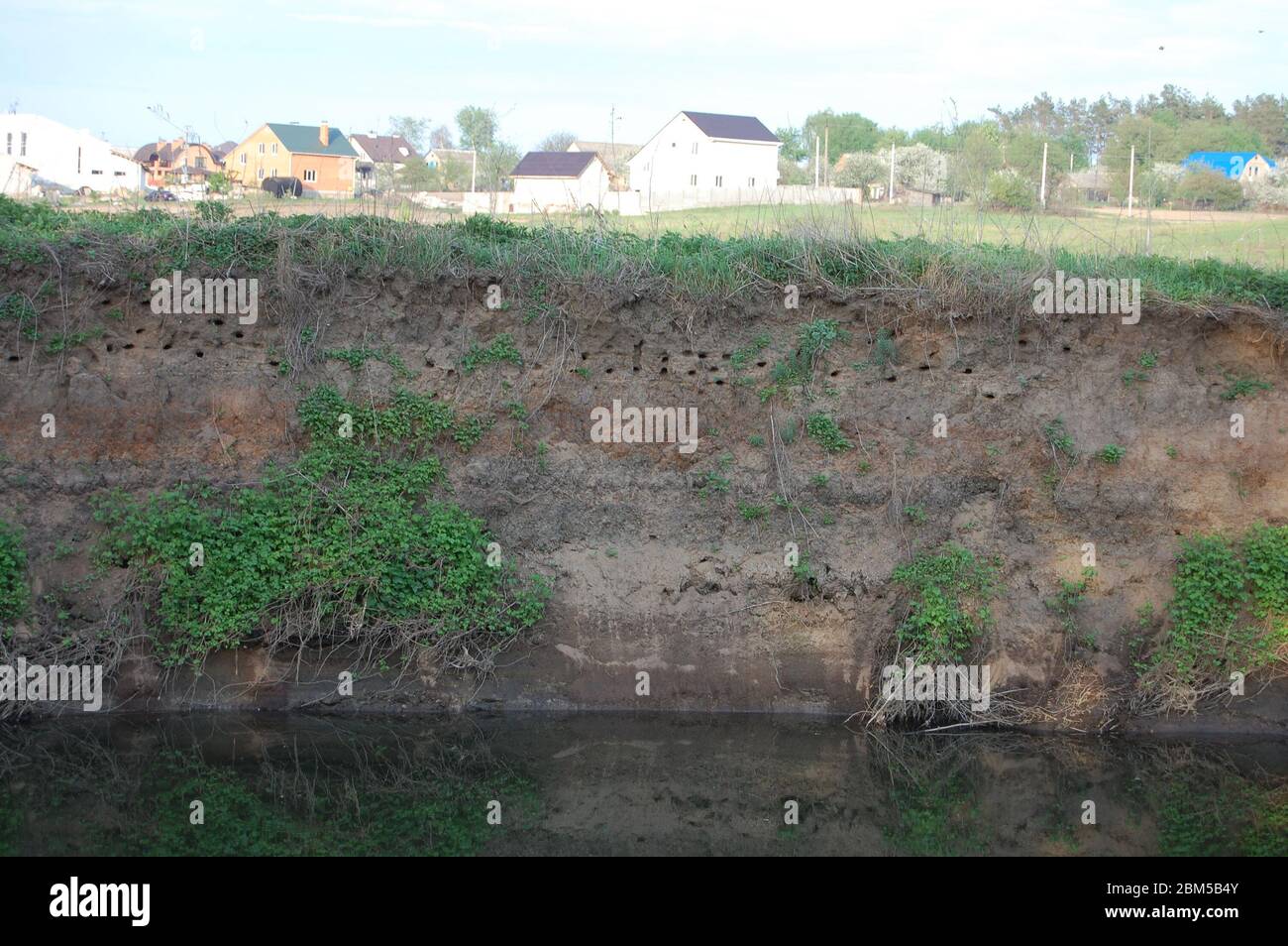 high bank of river with minks for birds Stock Photo - Alamy