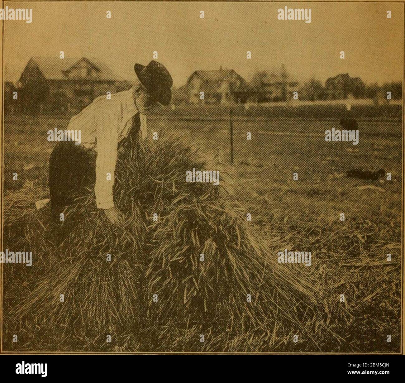 "Farm craft lessons" (1919 Stock Photo - Alamy