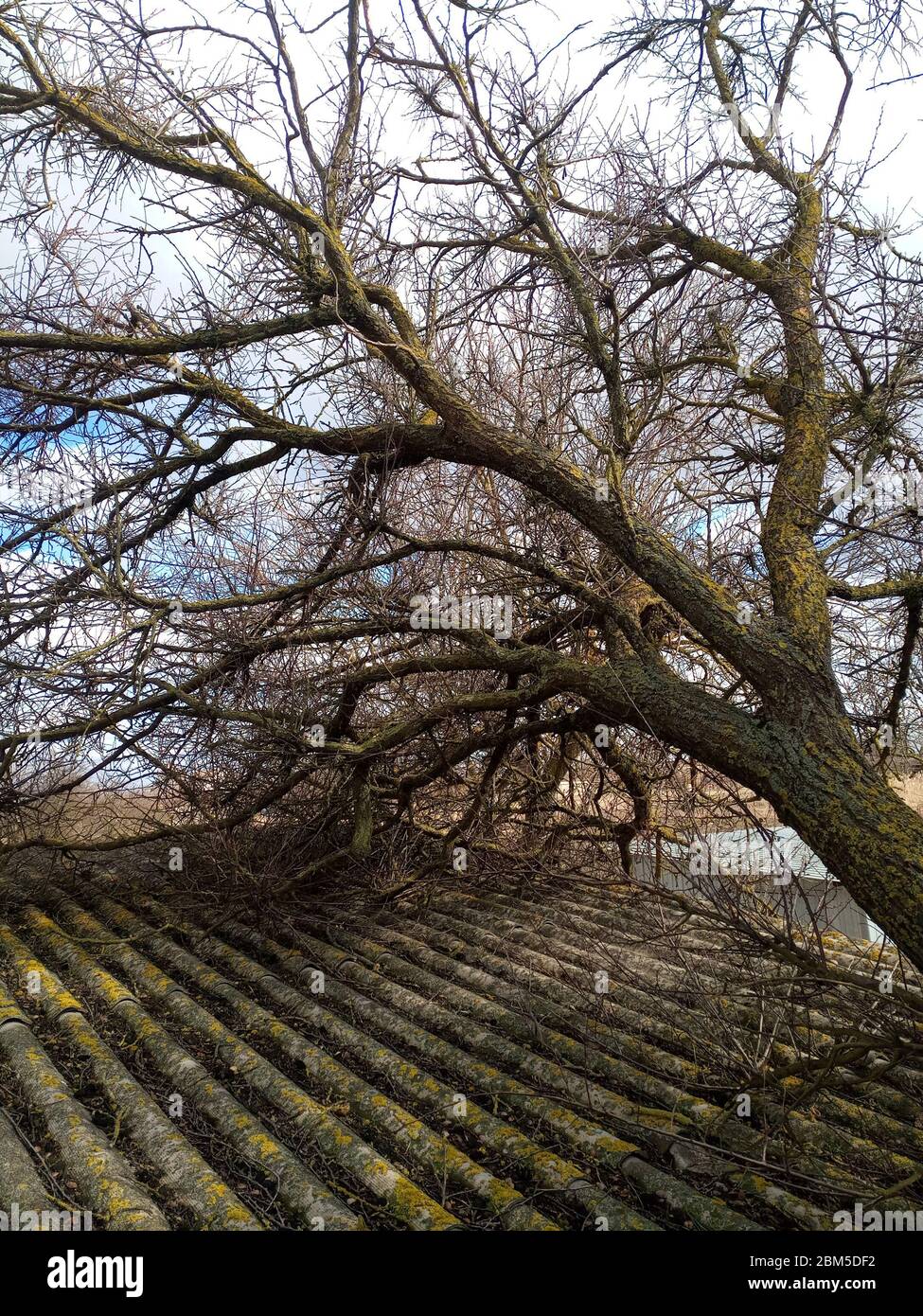 Old barn roof with broken roof tiles hi-res stock photography and ...