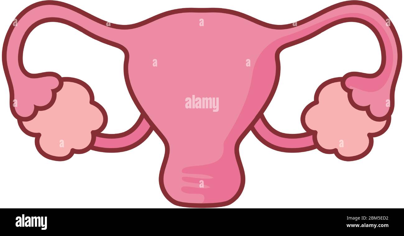 female reproductive system flat style icon design of Medical care ...