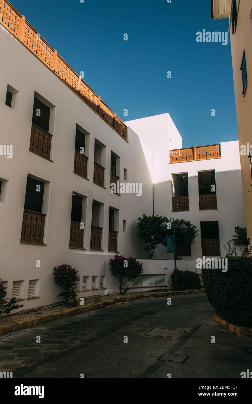 Flora trees cyprus hi-res stock photography and images - Alamy