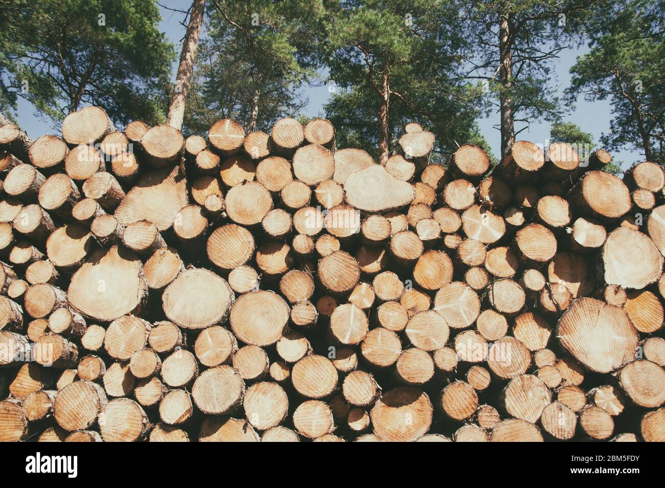 Primary products hi-res stock photography and images - Alamy