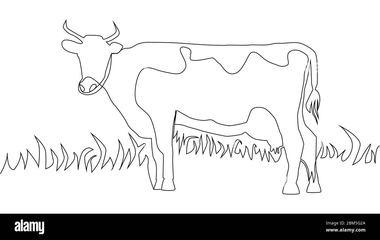 Line drawing cow calf hi-res stock photography and images - Alamy