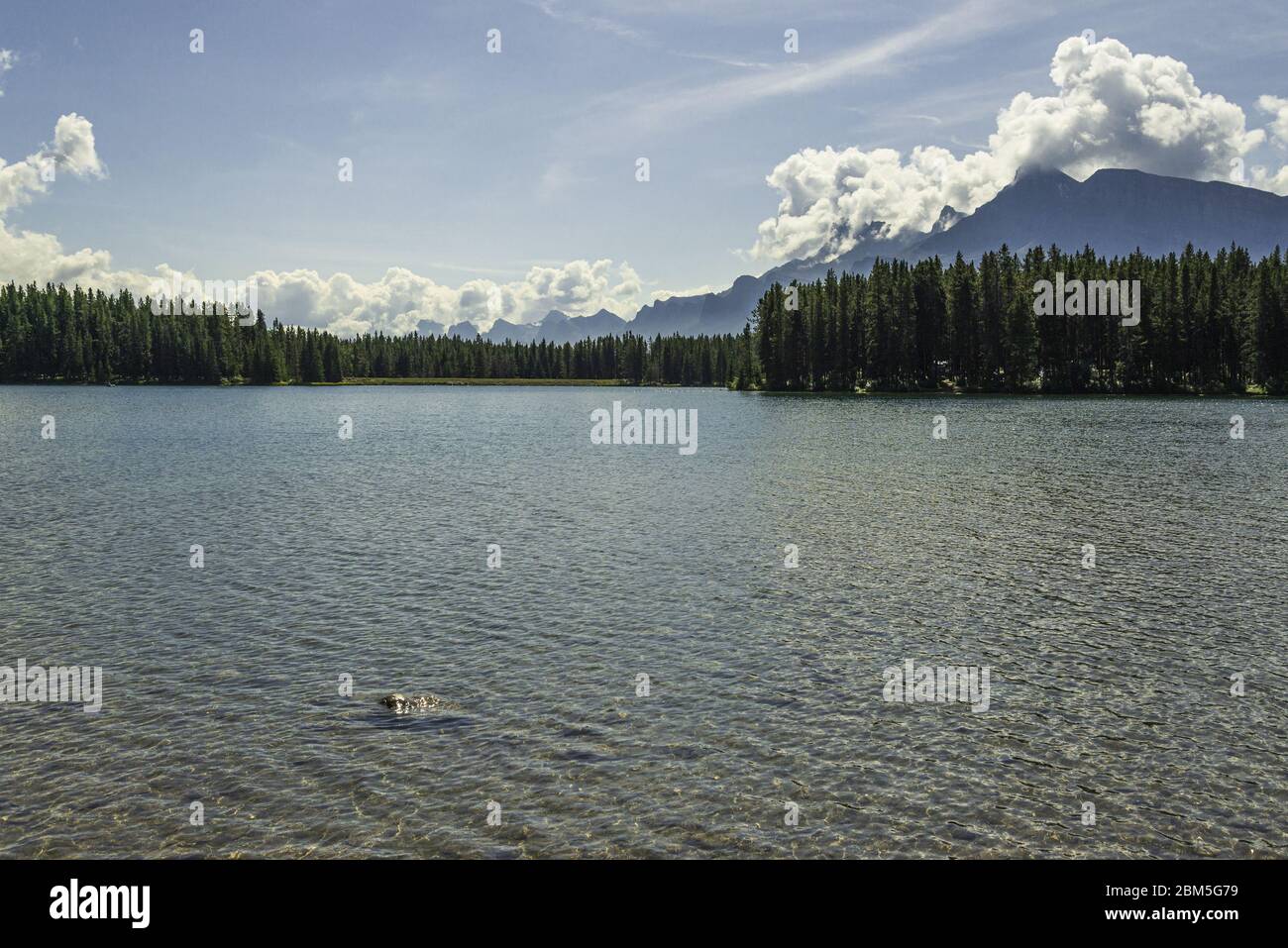 Two Jake lake views, Banff National Park, Alberta, Canada Stock Photo ...