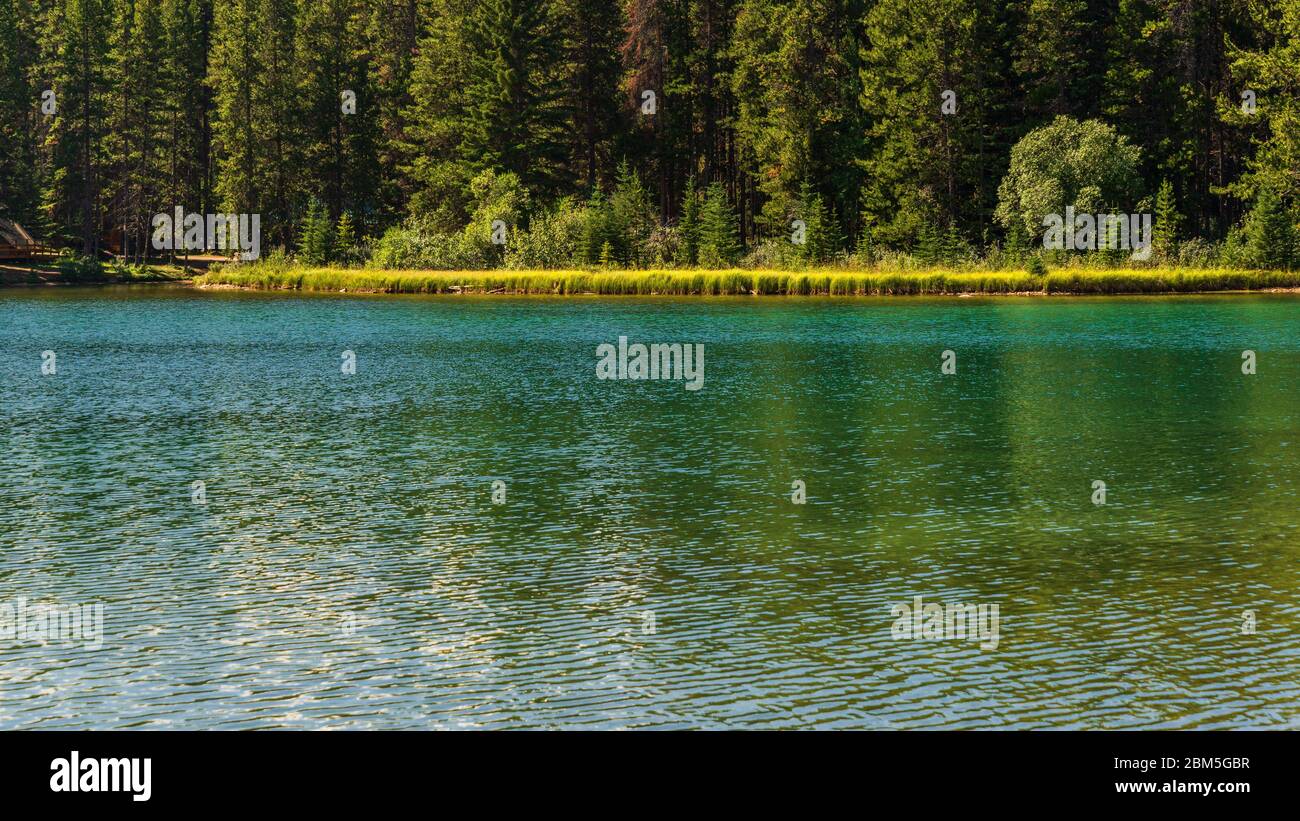 Two Jake lake views, Banff National Park, Alberta, Canada Stock Photo ...