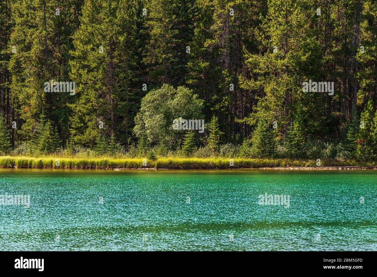 Two Jake lake views, Banff National Park, Alberta, Canada Stock Photo ...