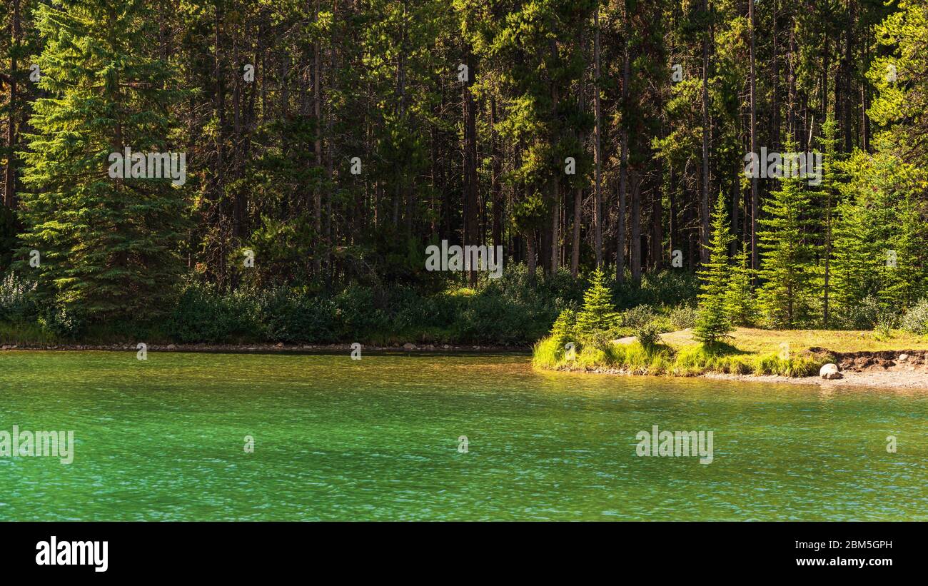 Two Jake lake views, Banff National Park, Alberta, Canada Stock Photo ...