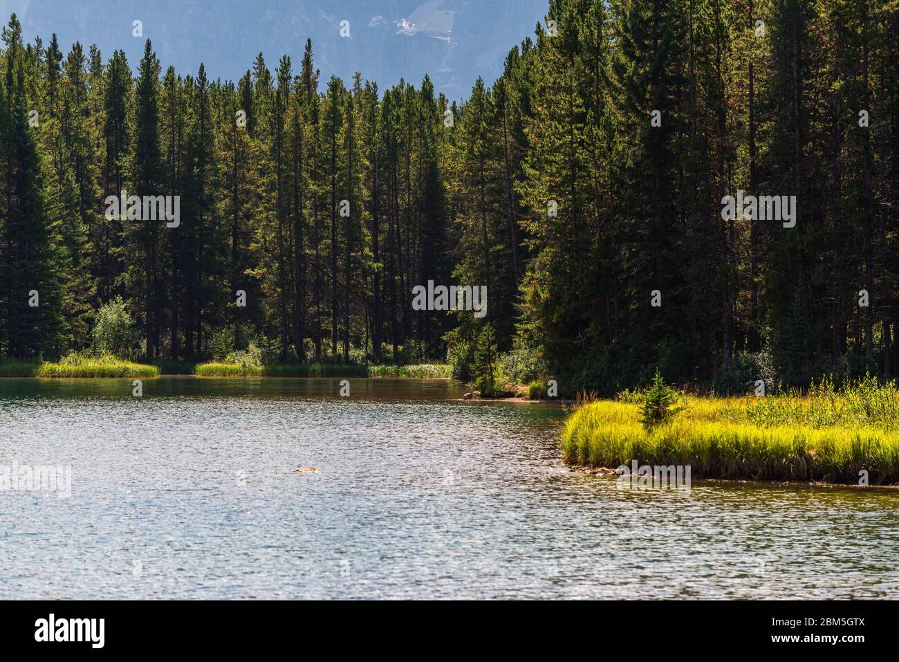 Two Jake lake views, Banff National Park, Alberta, Canada Stock Photo ...