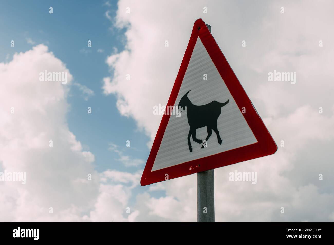 triangle goat warning sign against sky with clouds Stock Photo - Alamy
