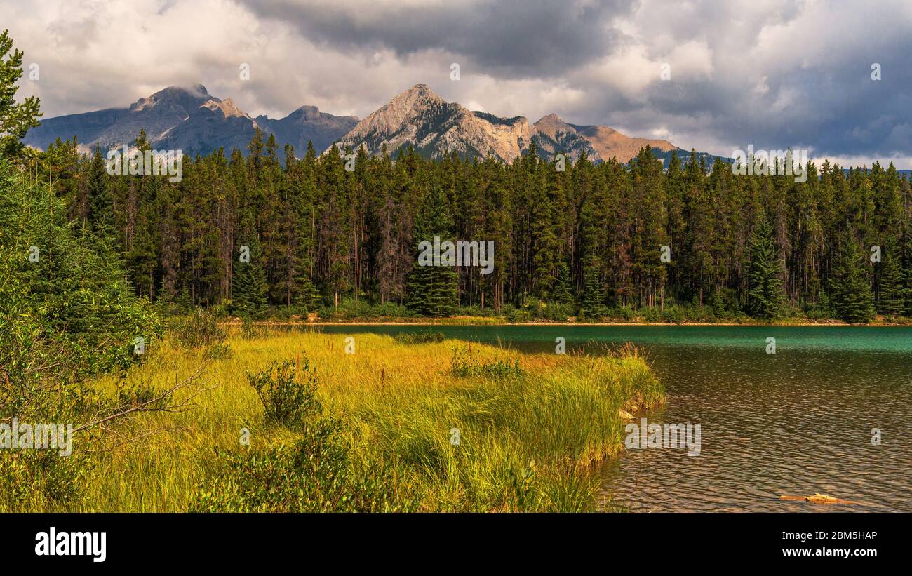 Two Jake lake views, Banff National Park, Alberta, Canada Stock Photo ...