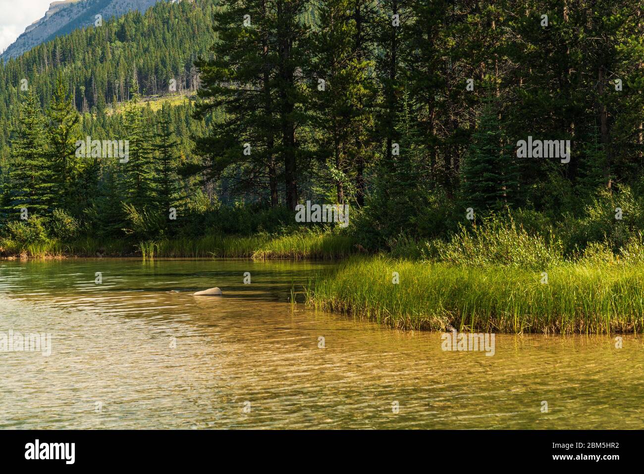 Two Jake lake views, Banff National Park, Alberta, Canada Stock Photo ...