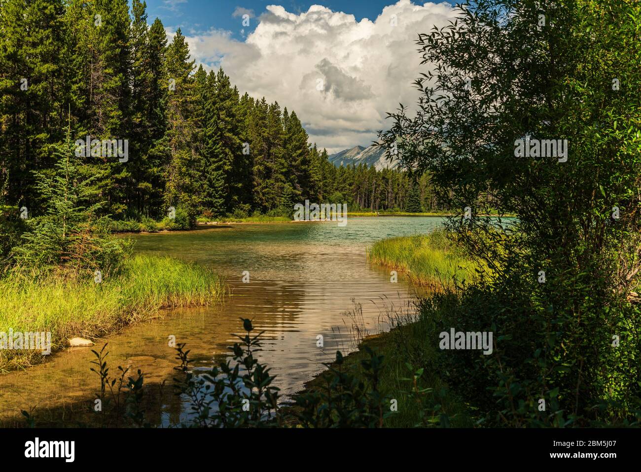 Two Jake lake views, Banff National Park, Alberta, Canada Stock Photo ...