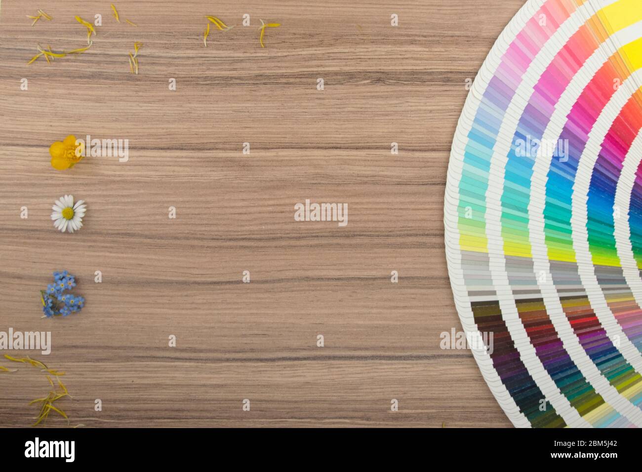 Color card range on wooden desk Stock Photo - Alamy