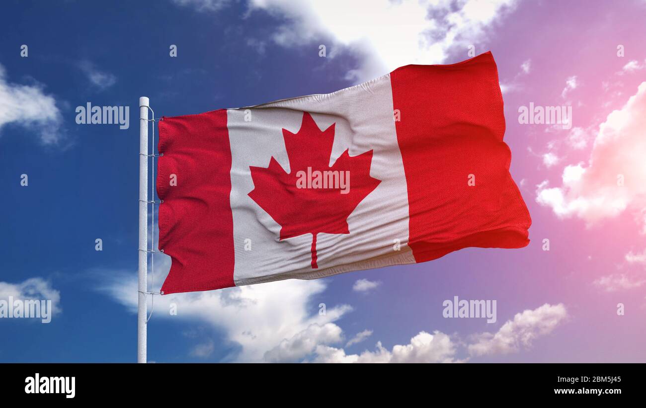 Canadian national flag waving on the blue sky with beautiful sunlight ...