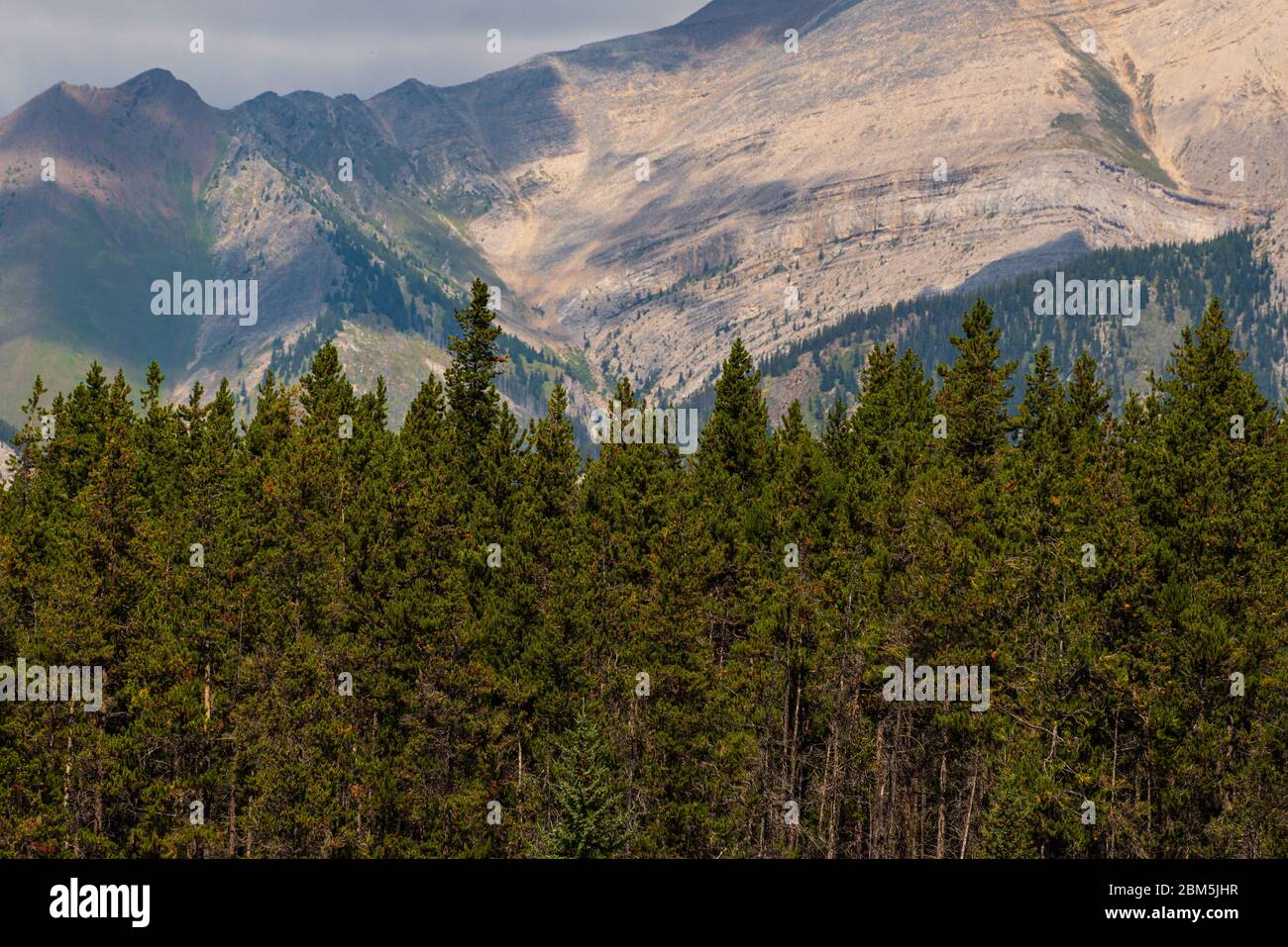 Two Jake lake views, Banff National Park, Alberta, Canada Stock Photo ...