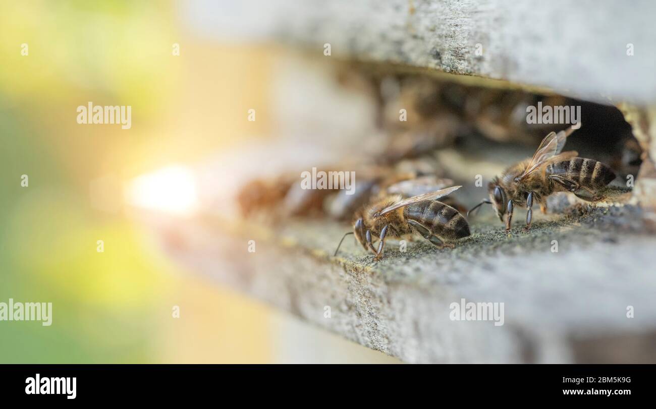 Ukrainian steppe hi-res stock photography and images - Alamy