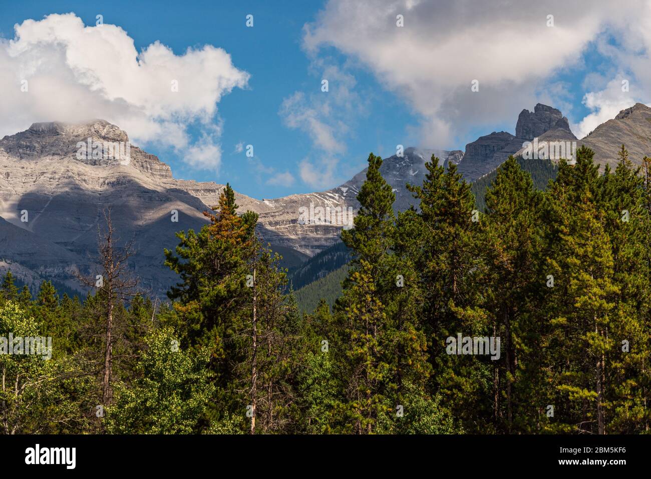 Two Jake lake views, Banff National Park, Alberta, Canada Stock Photo ...