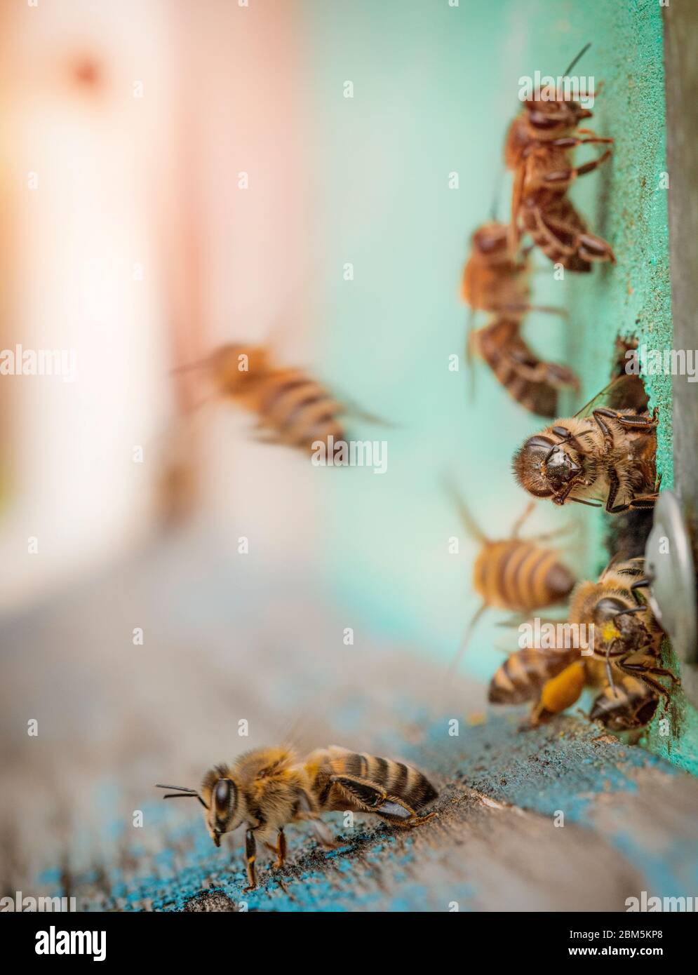 Ukrainian steppe hi-res stock photography and images - Alamy