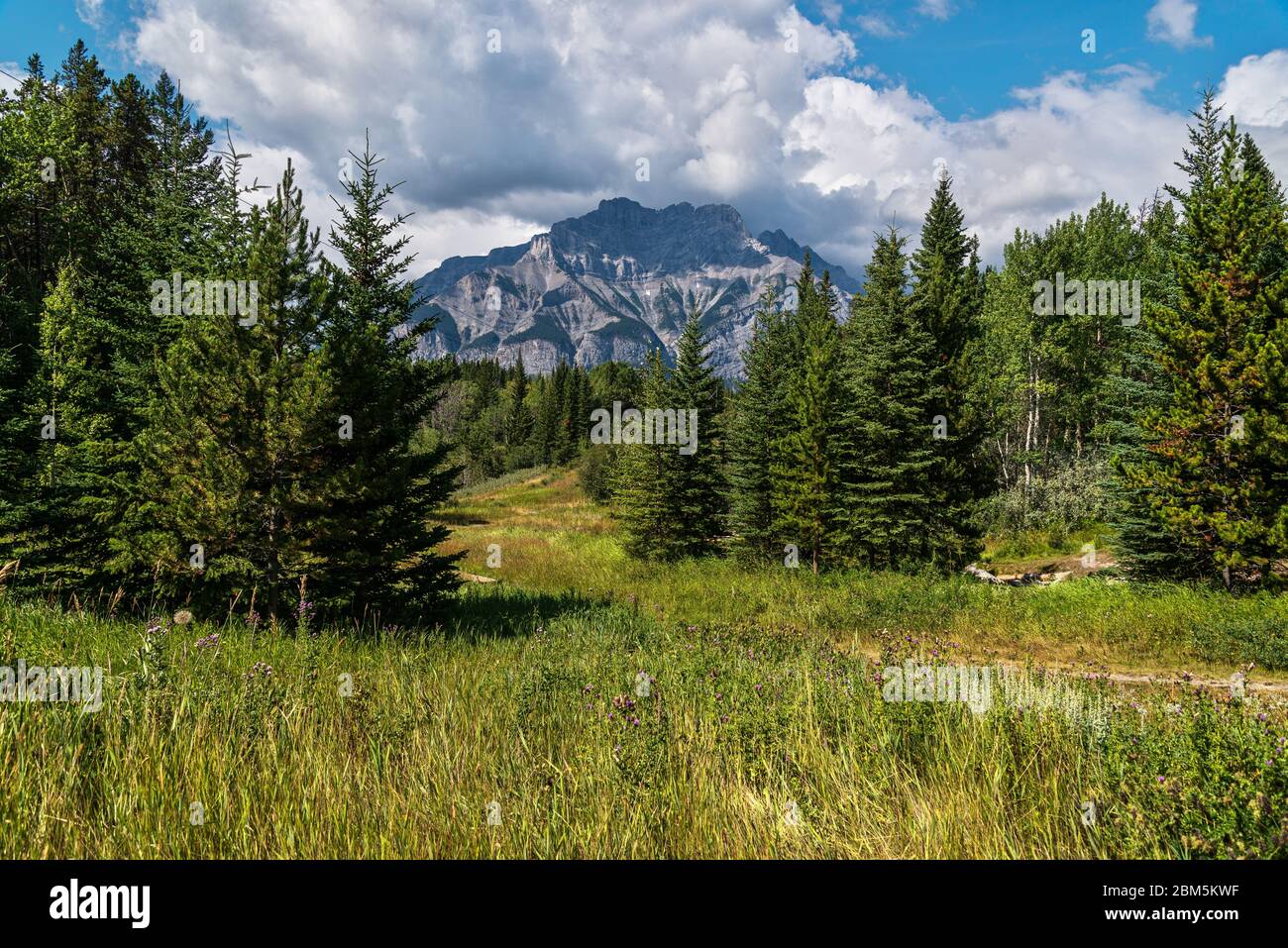 Two Jake lake views, Banff National Park, Alberta, Canada Stock Photo ...