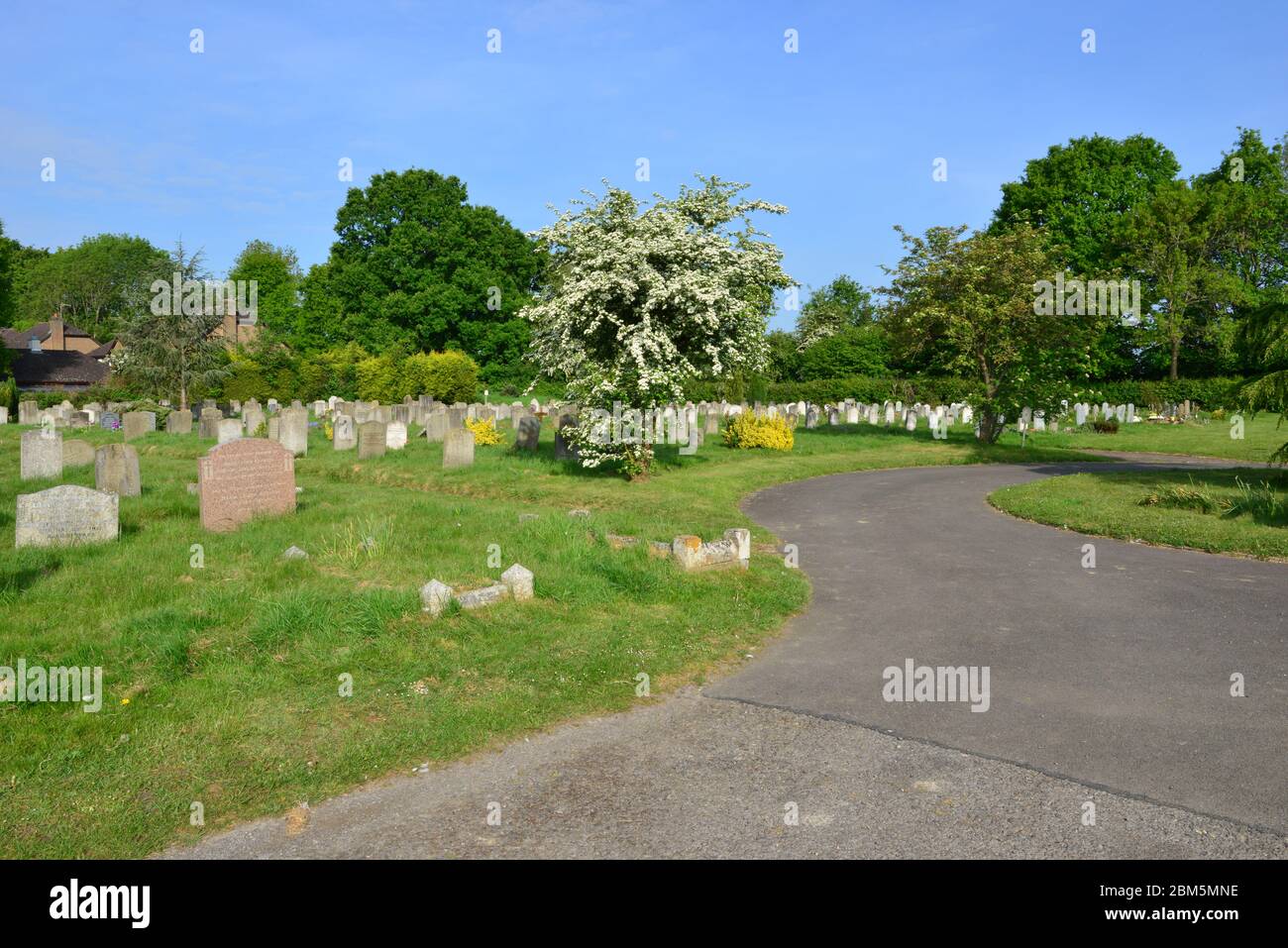 Cemetery walkways hi-res stock photography and images - Alamy