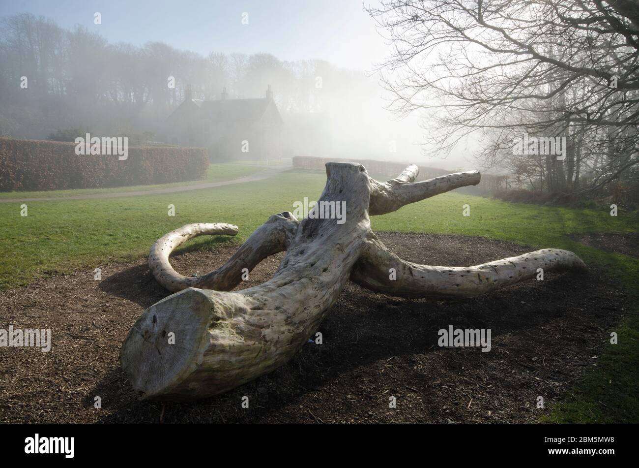 Random feature hi-res stock photography and images - Alamy