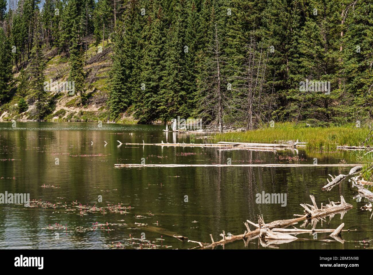 Two Jake lake views, Banff National Park, Alberta, Canada Stock Photo ...