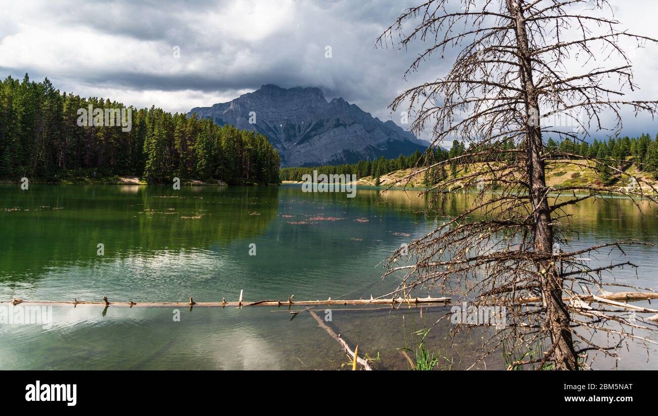Two Jake lake views, Banff National Park, Alberta, Canada Stock Photo ...