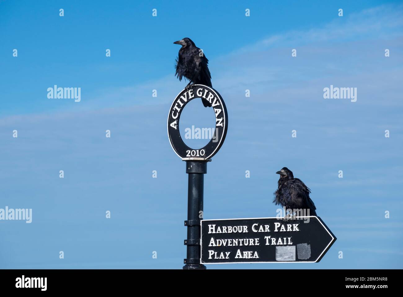 quirky view with crow on signage, by girvan, ayrshire Stock Photo - Alamy
