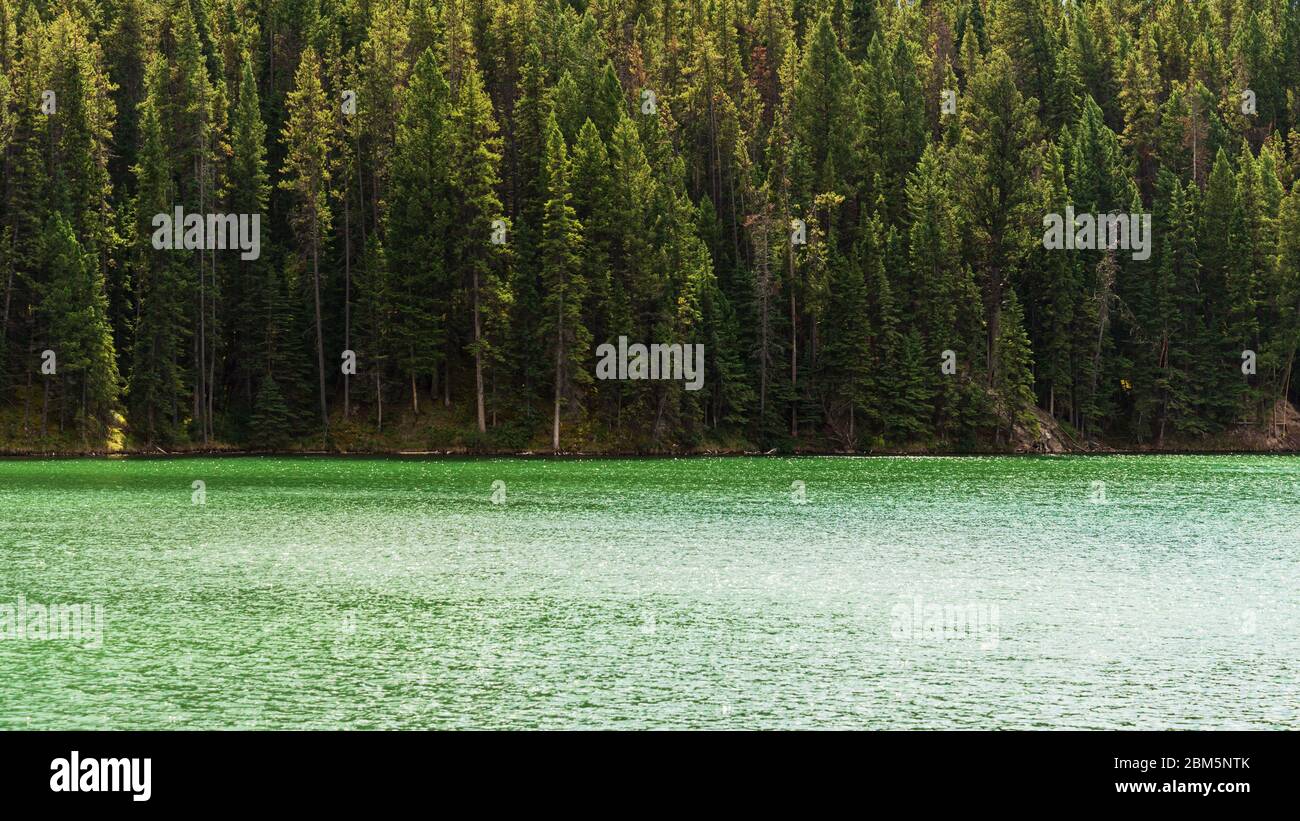 Two Jake lake views, Banff National Park, Alberta, Canada Stock Photo ...