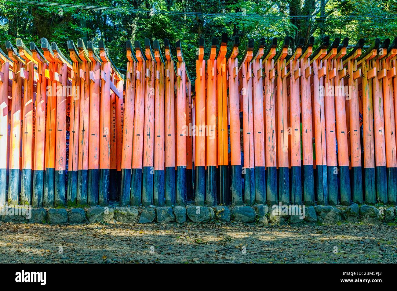 Rows of torii gates hi-res stock photography and images - Alamy