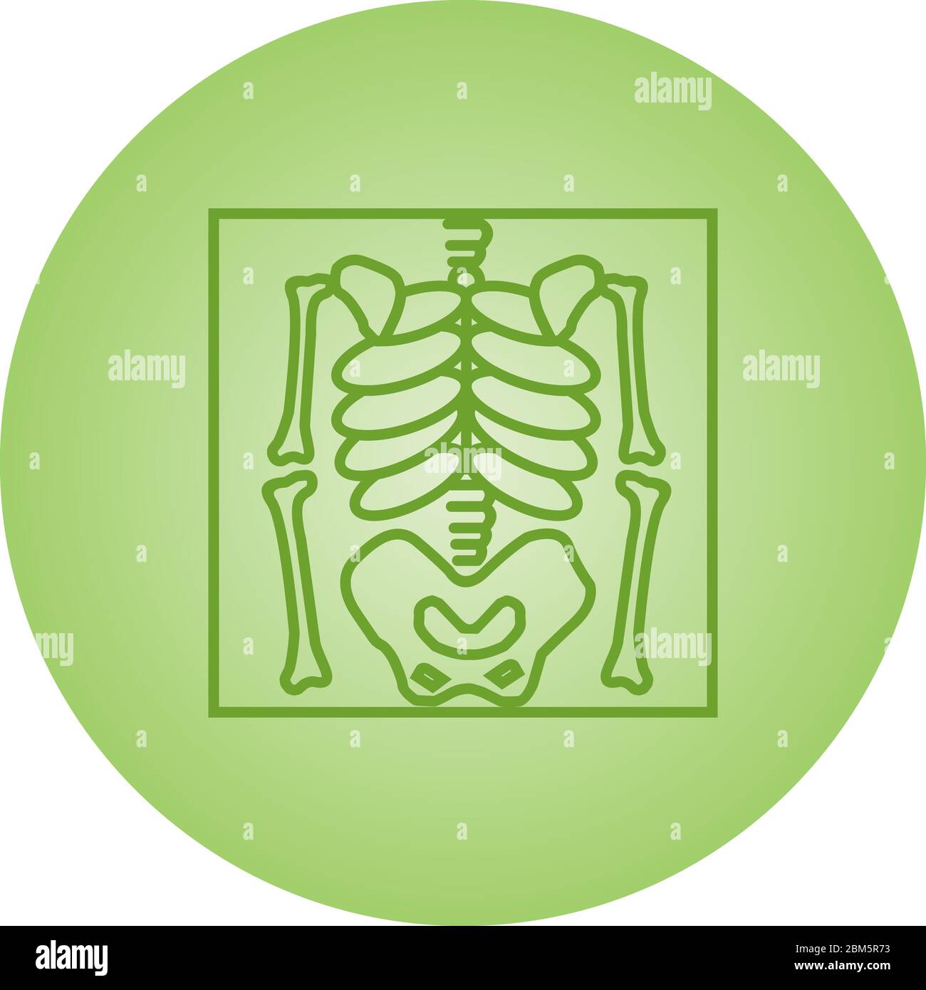 Beautiful skeleton vector line icon hi-res stock photography and images ...