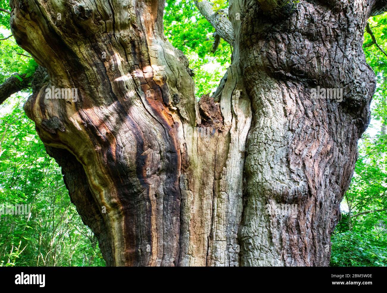 Rock coloured stripes hi-res stock photography and images - Alamy
