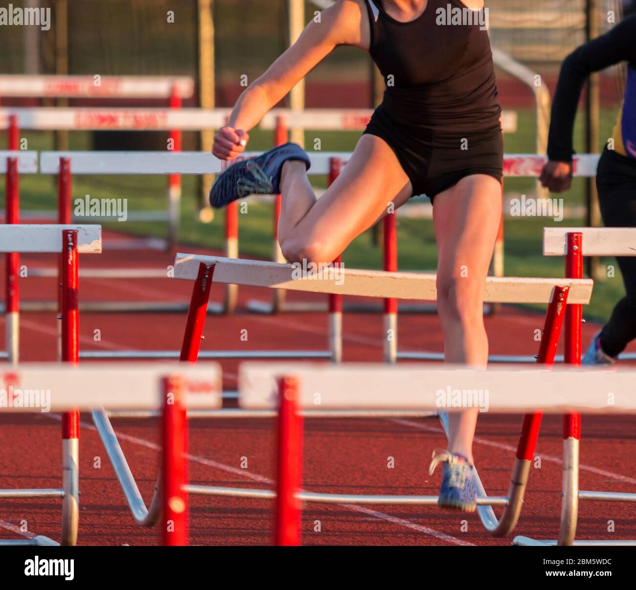 A high school girls hits her knee on a hurdle while she is running a ...