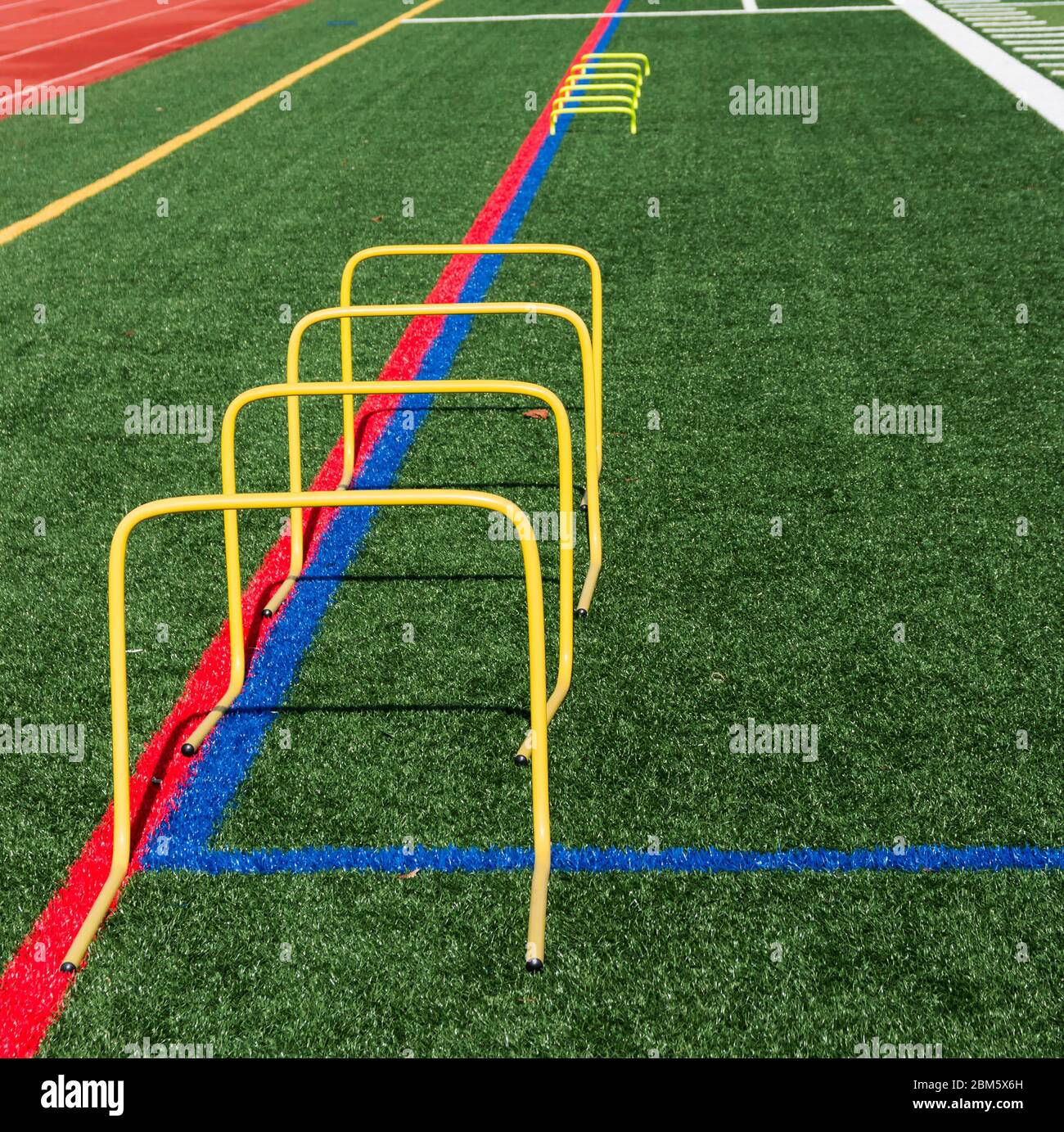 Four 24 inch yellow banana step hurdles are set up on a turf fied for ...