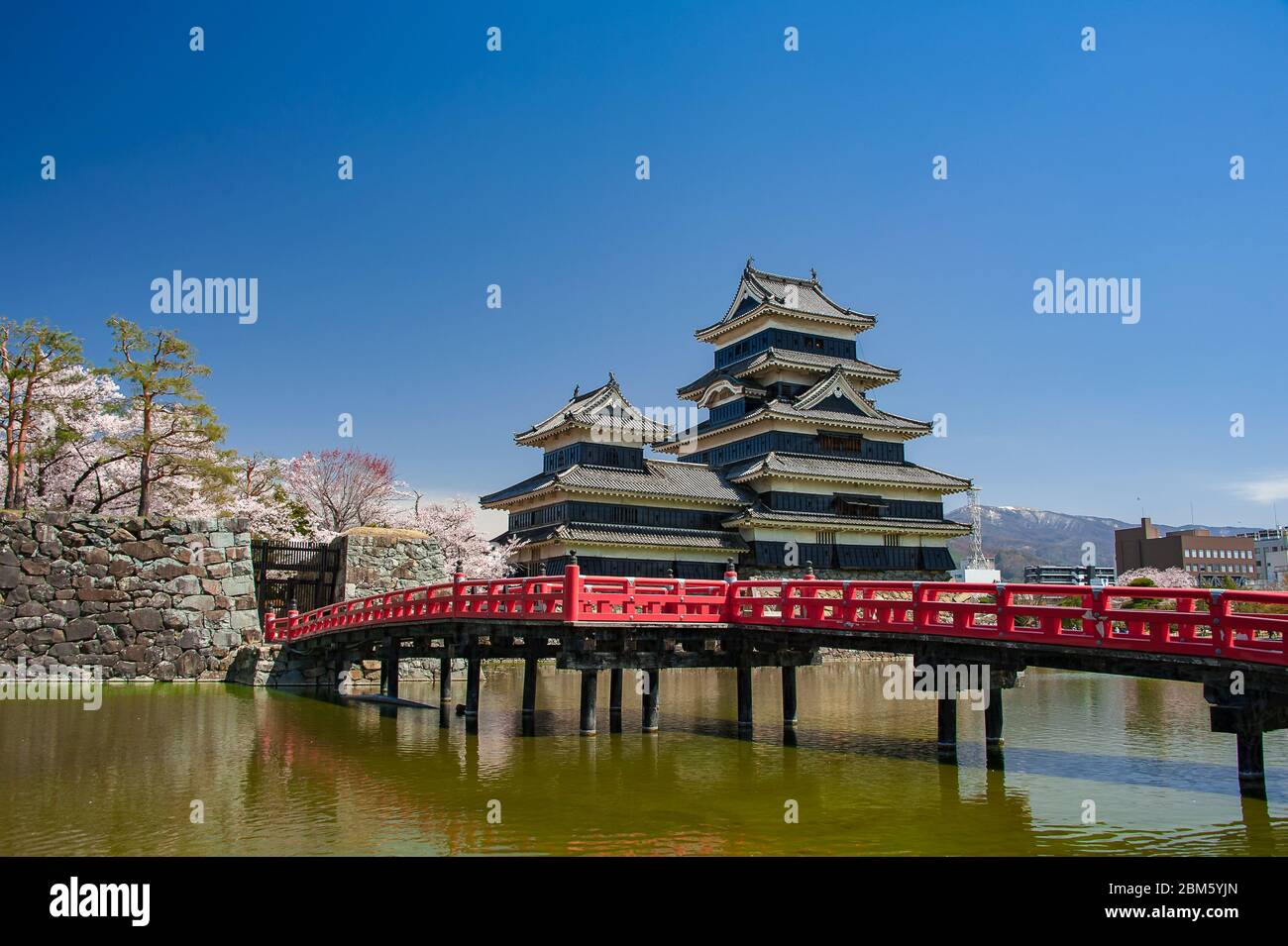 Springtime,cherry blossom Matsumoto Castle. Also known as "Crow Castle ...