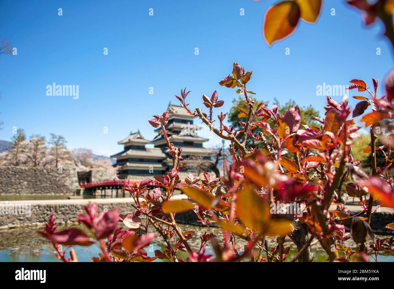 Matsumoto, Japan - April 20th, 2019: Matsumoto Castle in Springtime ...