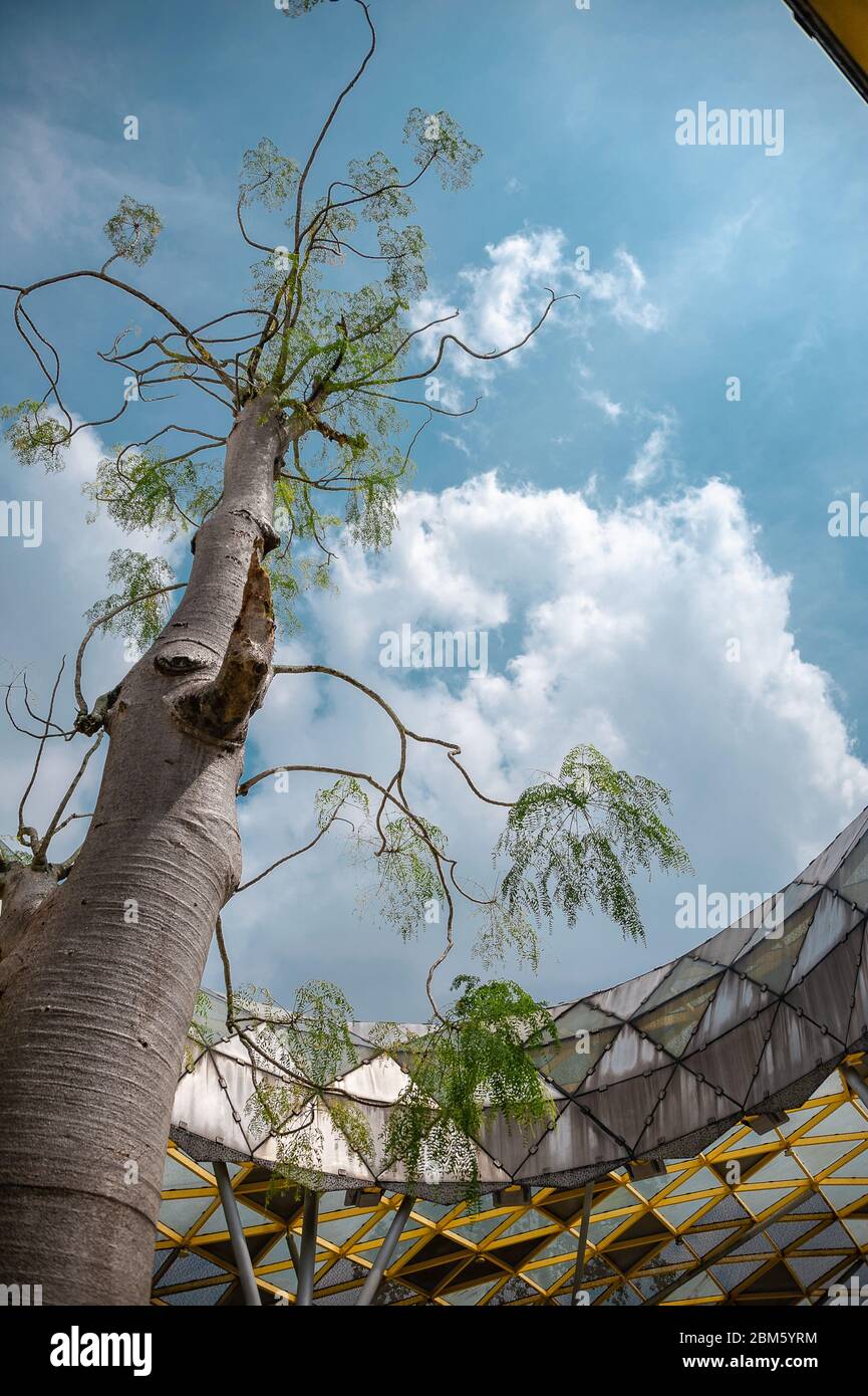 Kuala Lumpur, Malaysia - June 2019: The Perdana Canopy, a unique ...
