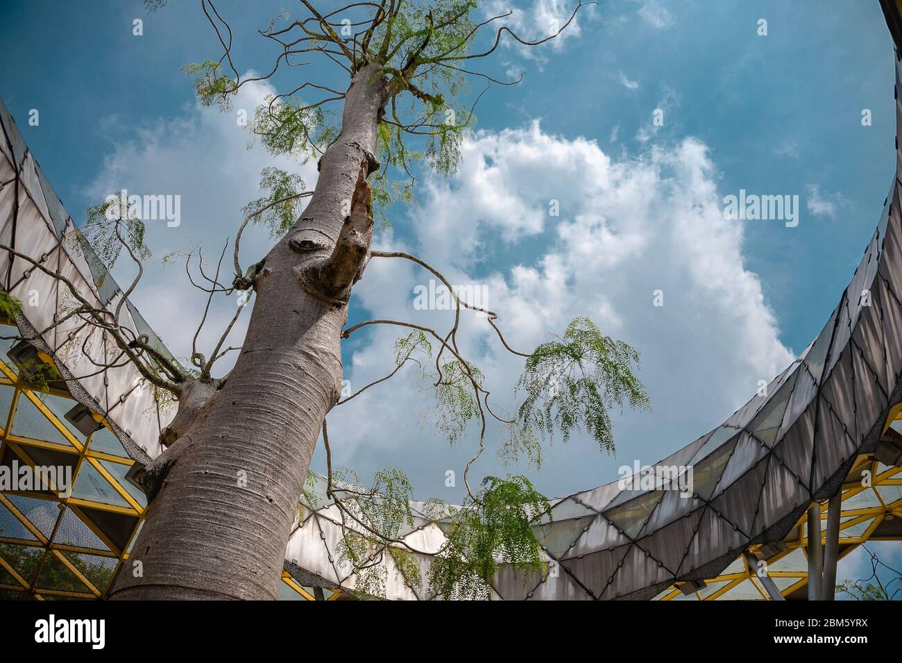 Kuala Lumpur, Malaysia - June 2019: The Perdana Canopy, a unique ...