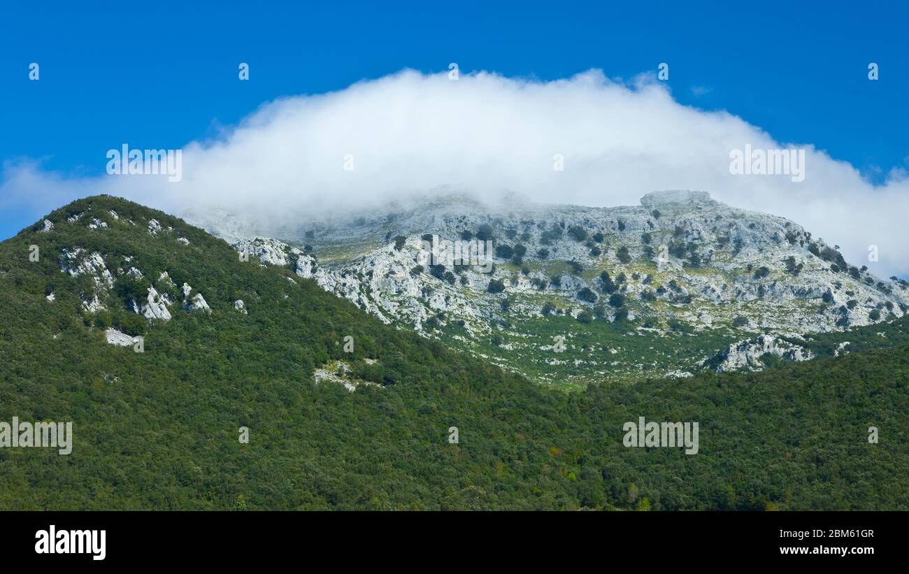Foehn wind hi-res stock photography and images - Alamy