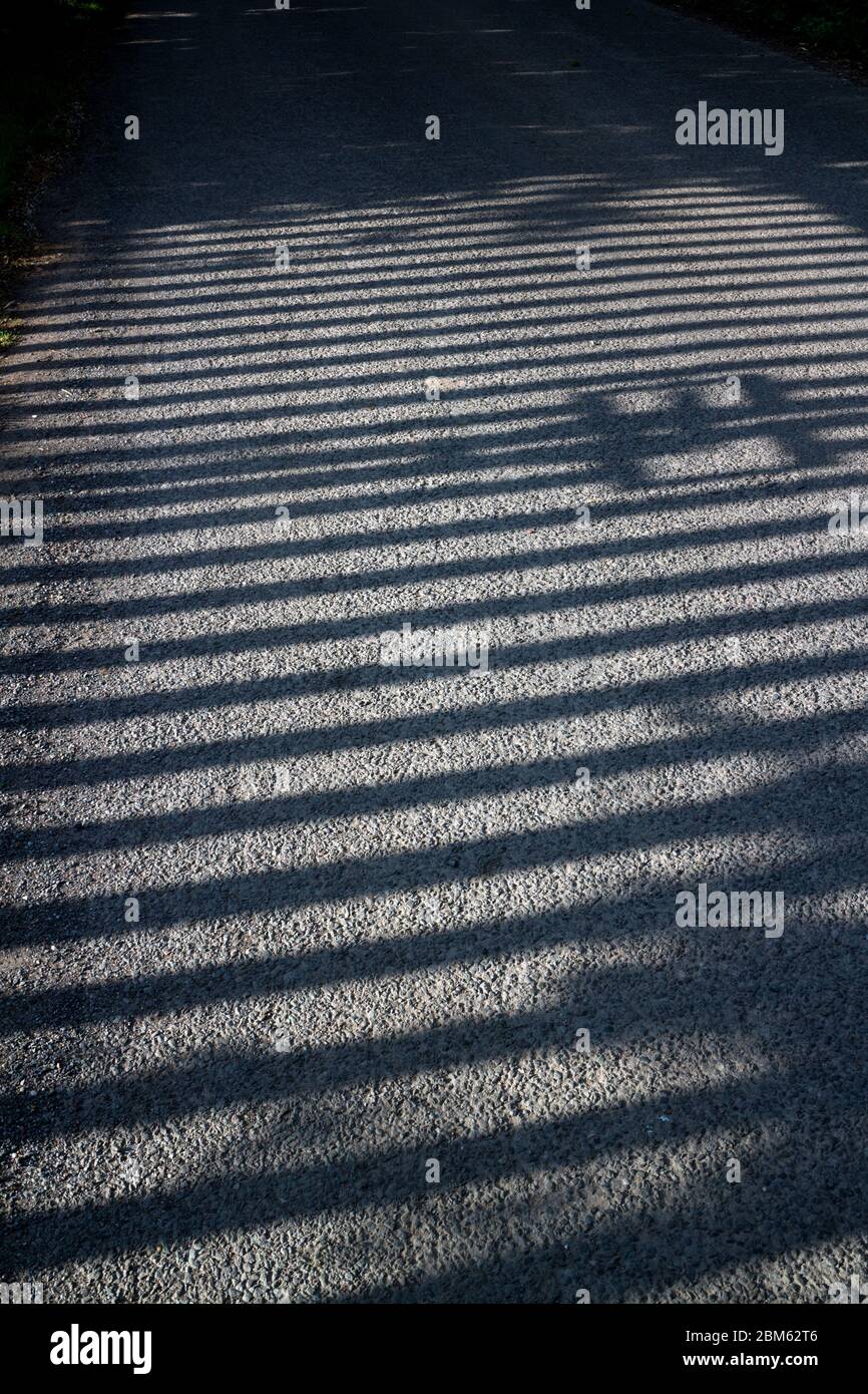 Striped shadows on a country road, UK Stock Photo - Alamy