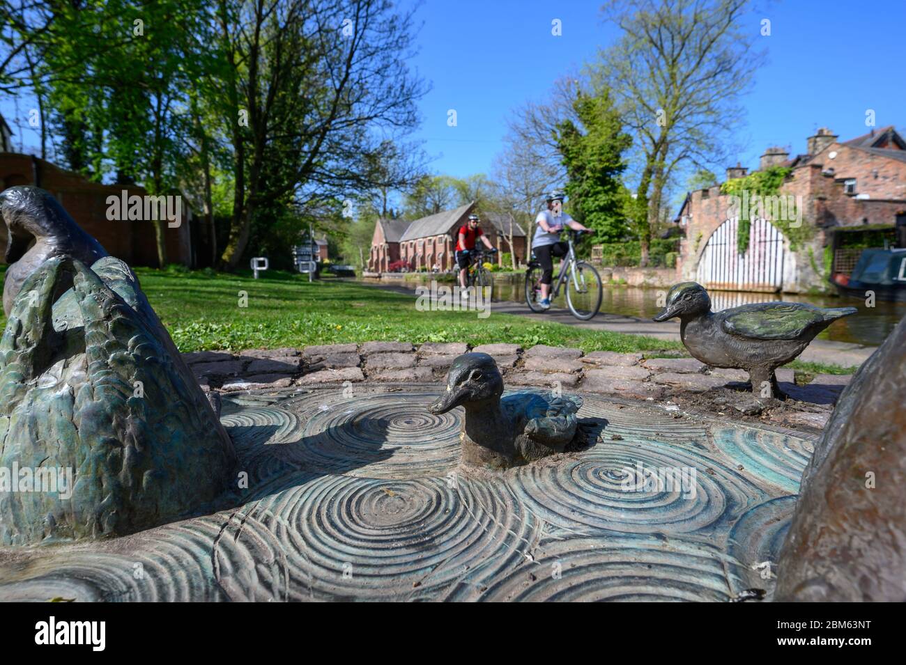 Worsley Ducks, Worsley, Manchester Stock Photo - Alamy