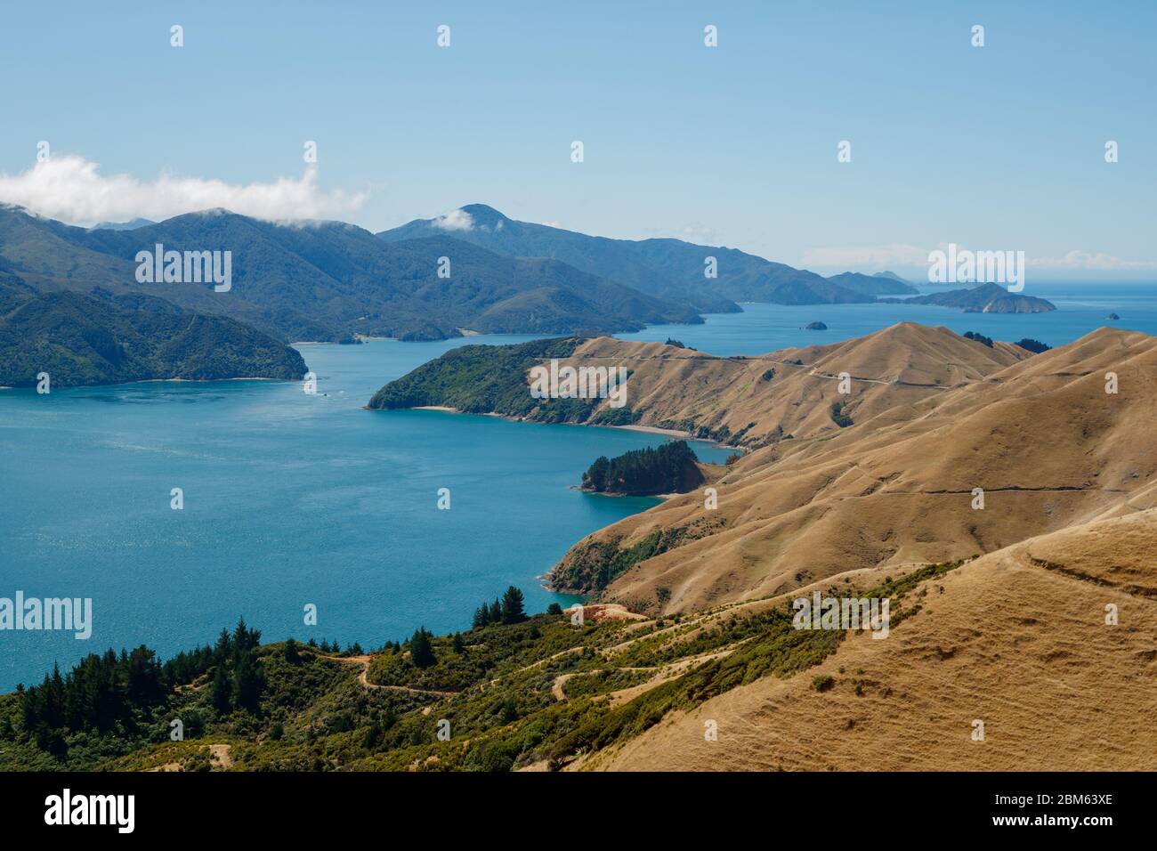 French Pass and Camp Bay, Marlborough, New Zealand Stock Photo - Alamy