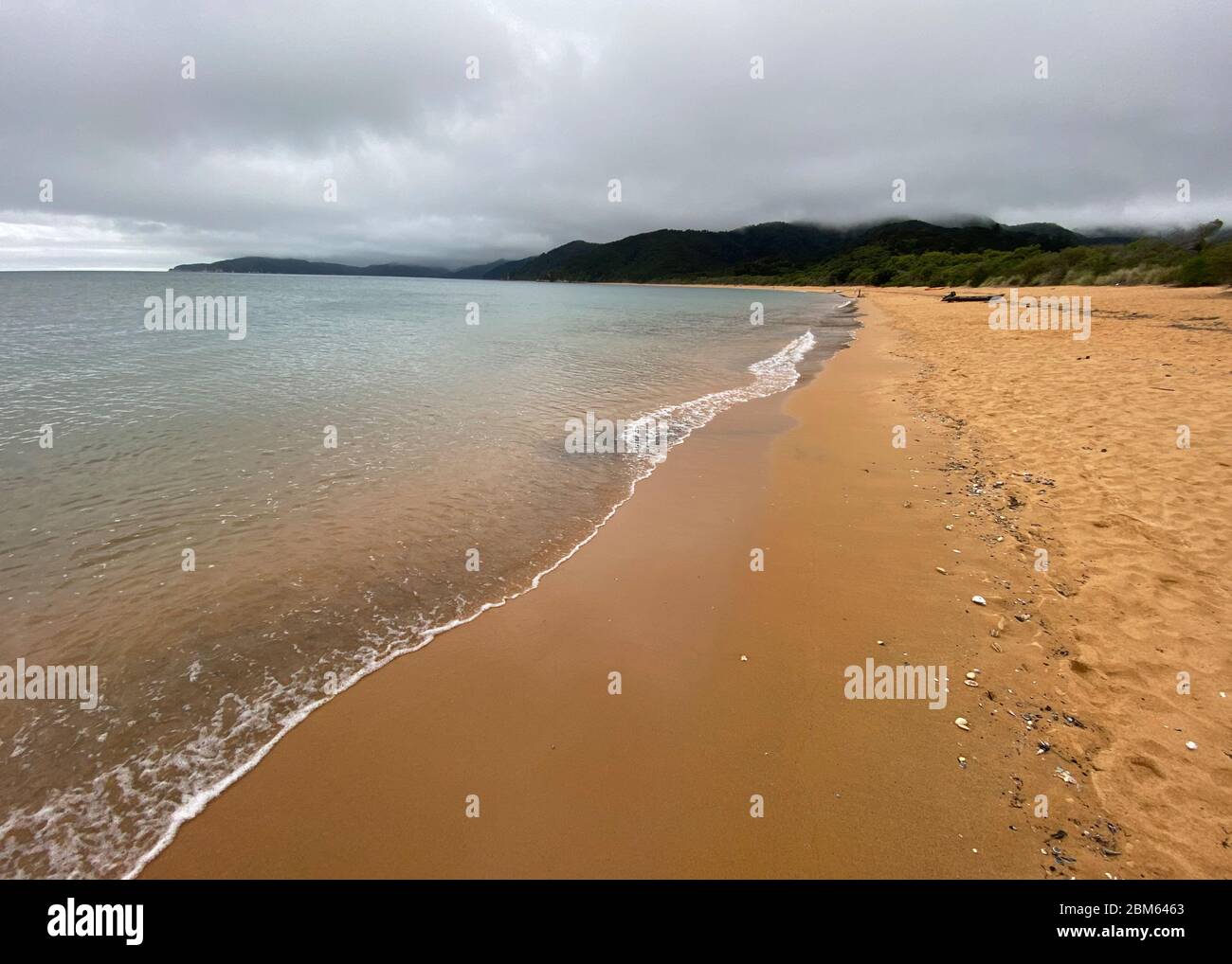 The sea and beach at Totaranui Bay Campground, New Zealand Stock Photo ...