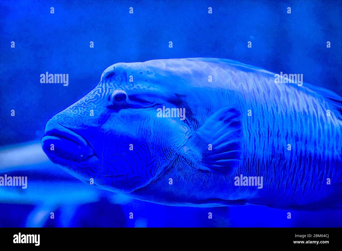 Close up view of fish in water colorful painting looks like picture ...