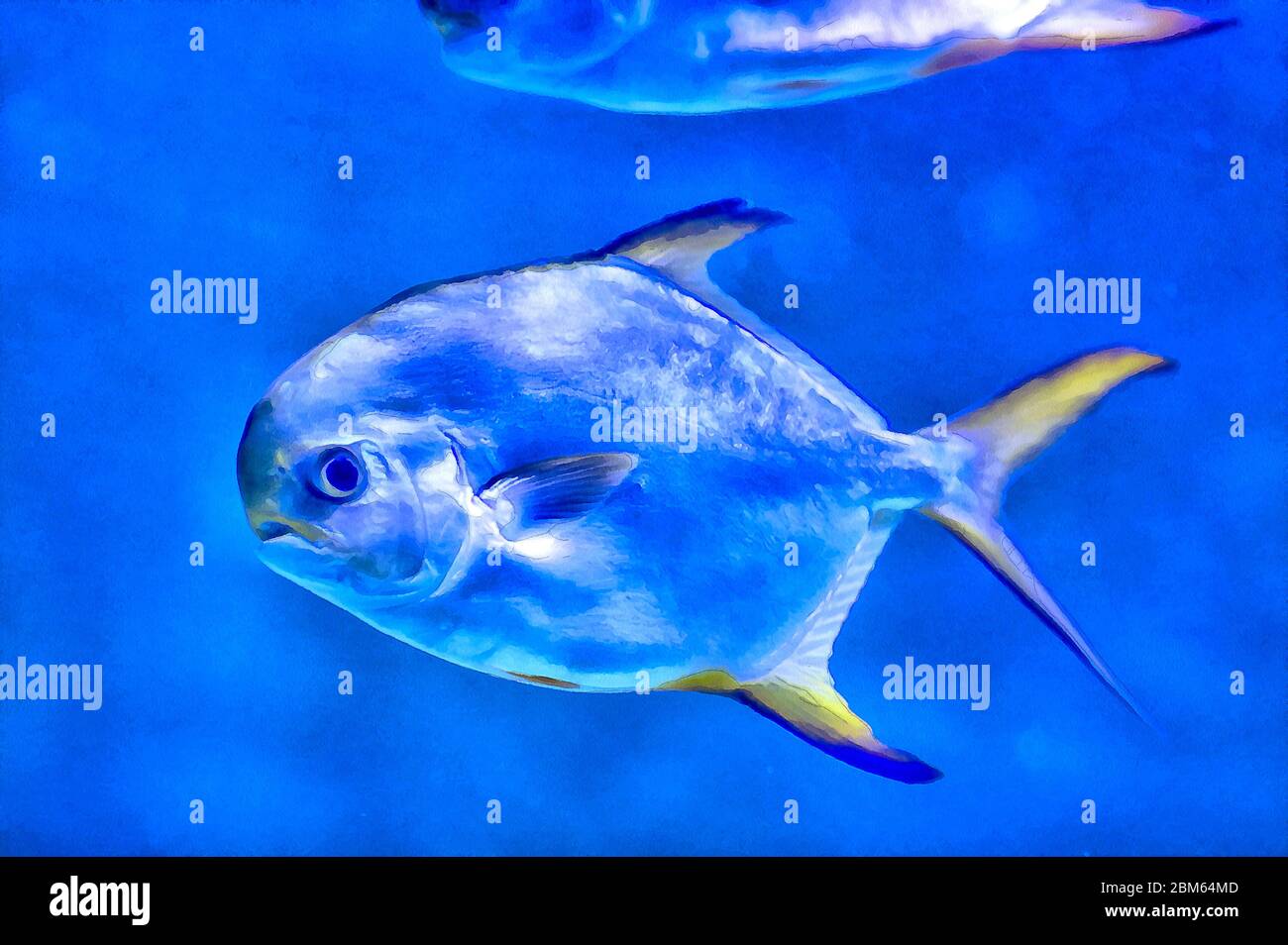 Watercolour paintings of fish hi-res stock photography and images - Alamy