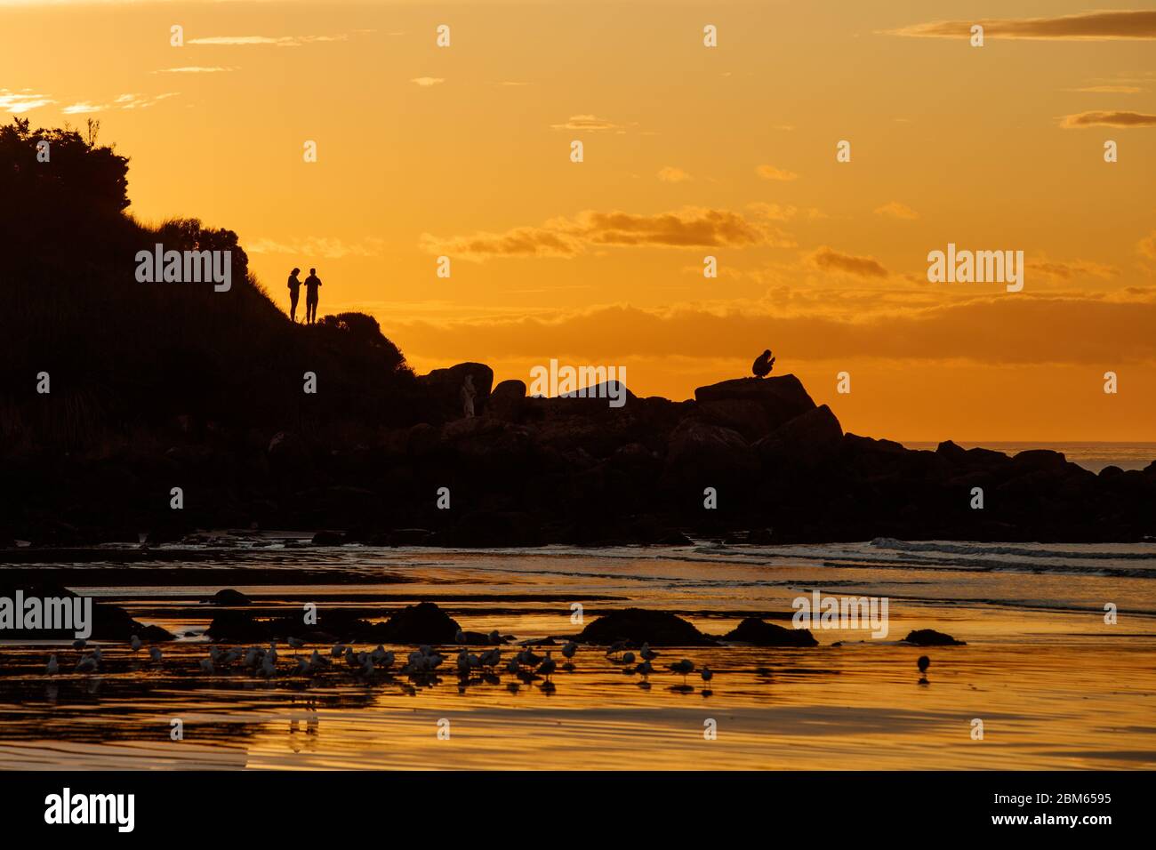 Monkey island hi-res stock photography and images - Alamy