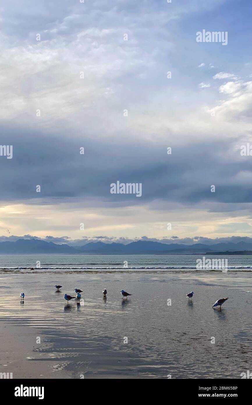 Land and sea new zealand hi-res stock photography and images - Alamy